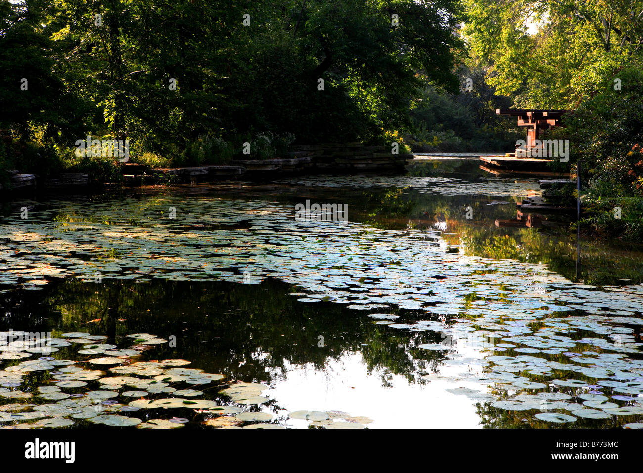 ALFRED CALDWELL LILY POOL LINCON PARK CHICAGO ILLINOIS USA Stock Photo ...