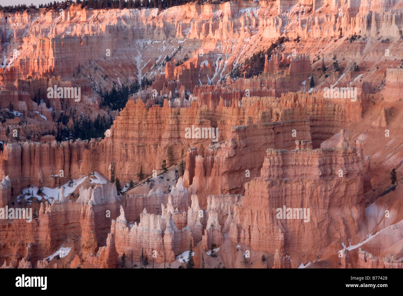 Bryce Amphitheater at dawn from Sunrise Point along the Rim Trail in ...