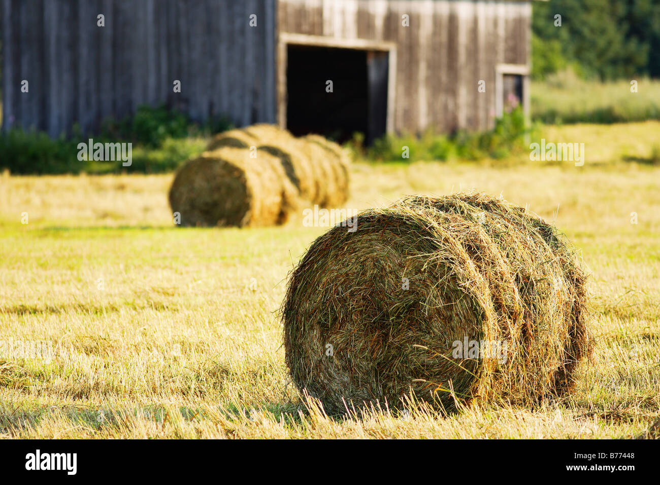Barns quebec farms agriculture hi-res stock photography and images - Alamy