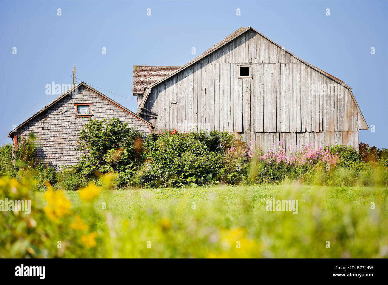 Barns quebec farms agriculture hi-res stock photography and images - Alamy