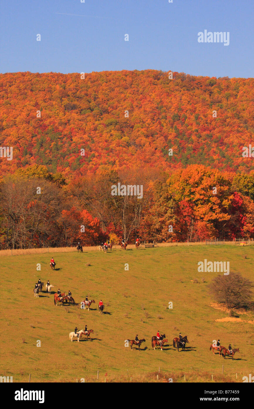 Fox hunt hounds virginia hi-res stock photography and images - Alamy