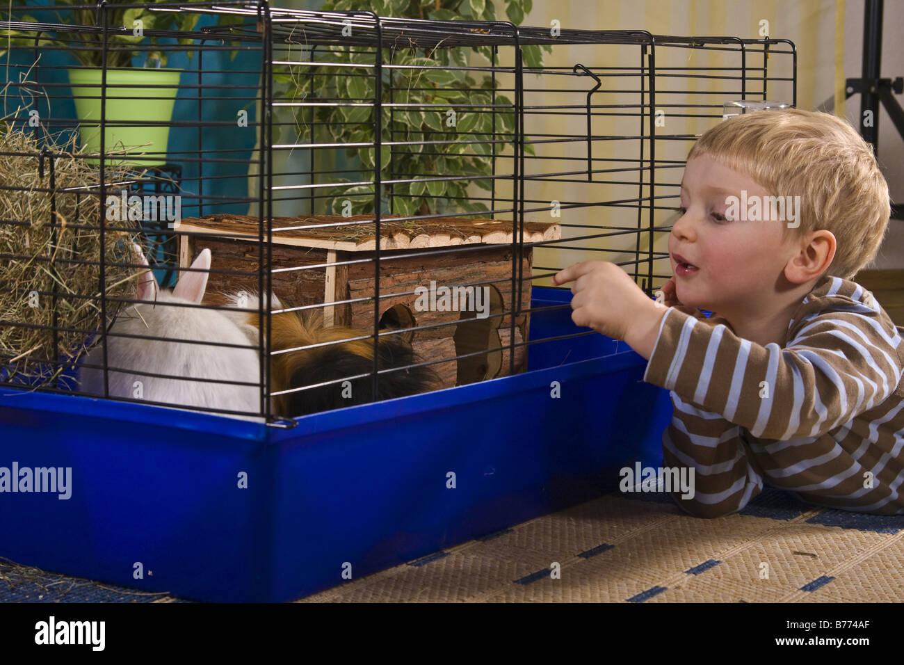 Boy in cage hi-res stock photography and images - Alamy