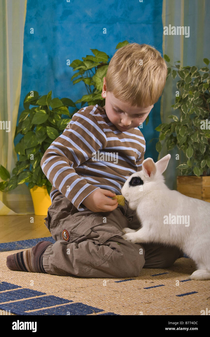 Boy rabbit lettuce hi-res stock photography and images - Alamy