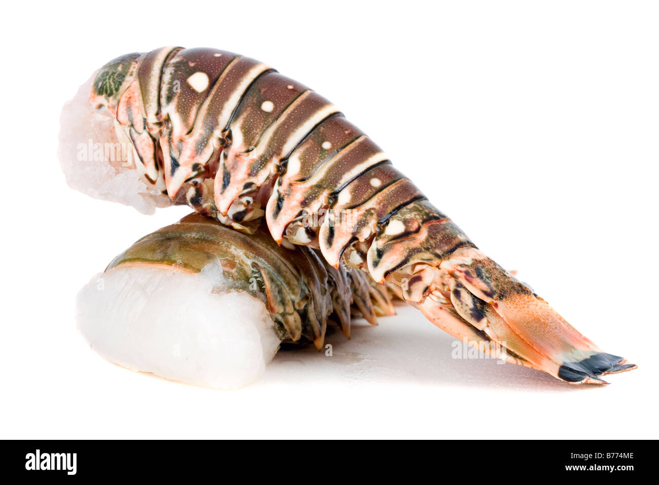 Uncooked Lobster
