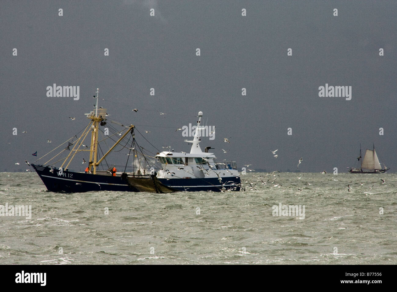 Dutch fishing gulls hi-res stock photography and images - Alamy