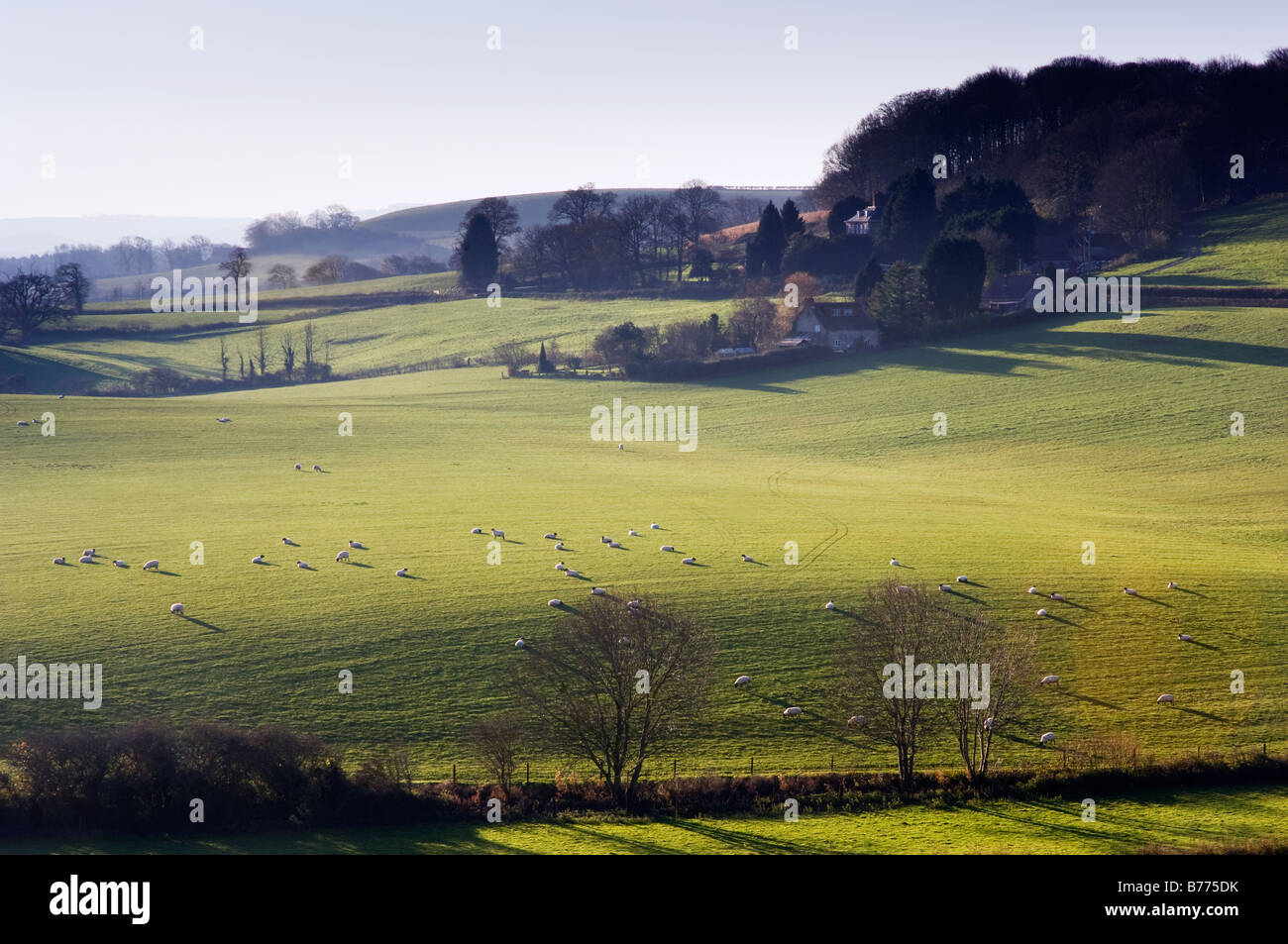 Gatcombe hi-res stock photography and images - Alamy