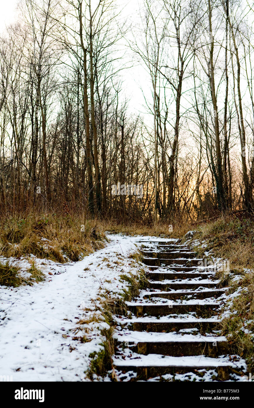 Box hill surrey sunset hi-res stock photography and images - Alamy