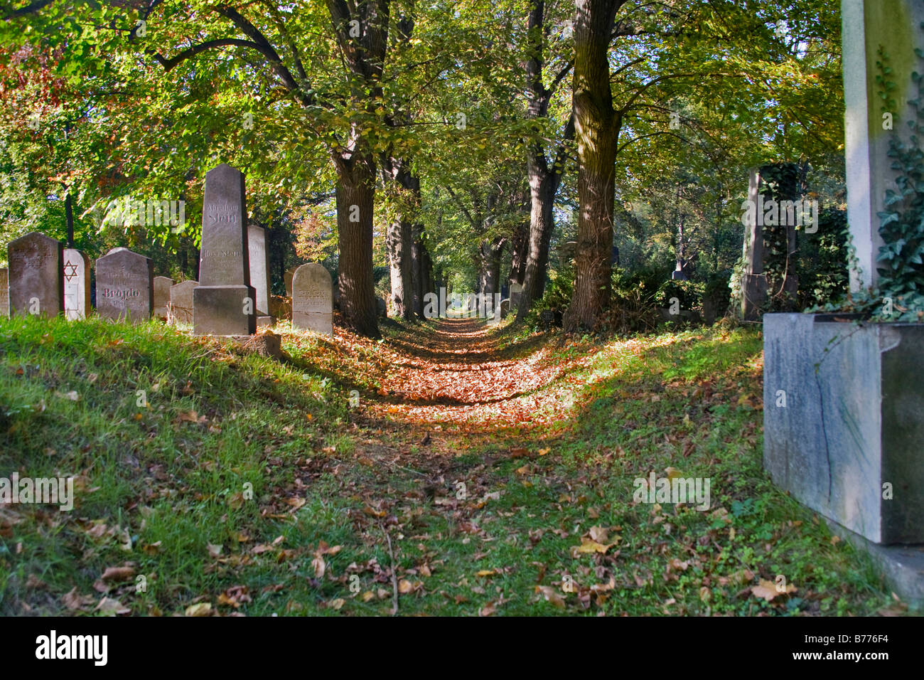 Zentralfriedhof cemetery hi-res stock photography and images - Alamy