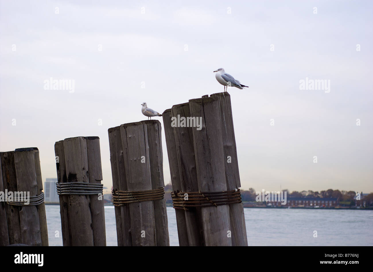 Pylon pylons sea water hi-res stock photography and images - Alamy