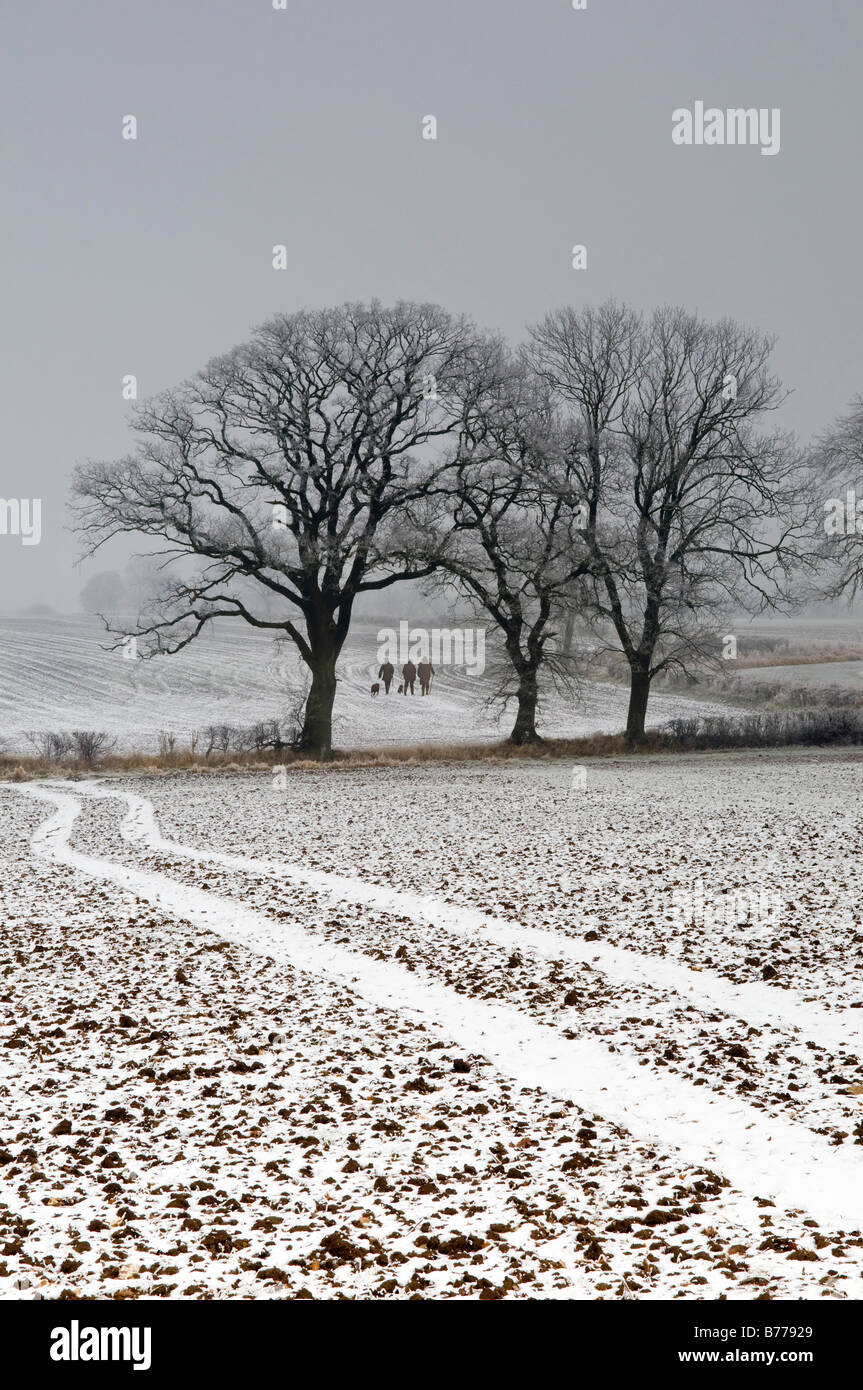 A country walk Stock Photo - Alamy
