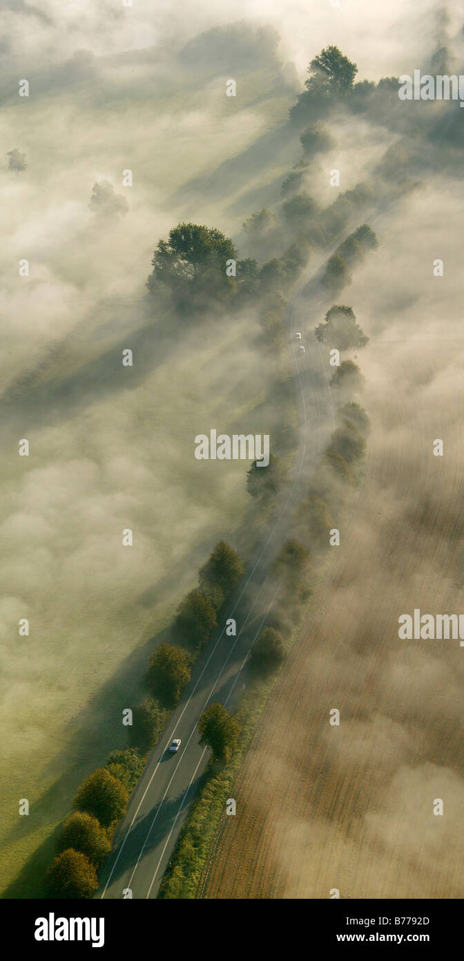 Uentrop street hi-res stock photography and images - Alamy