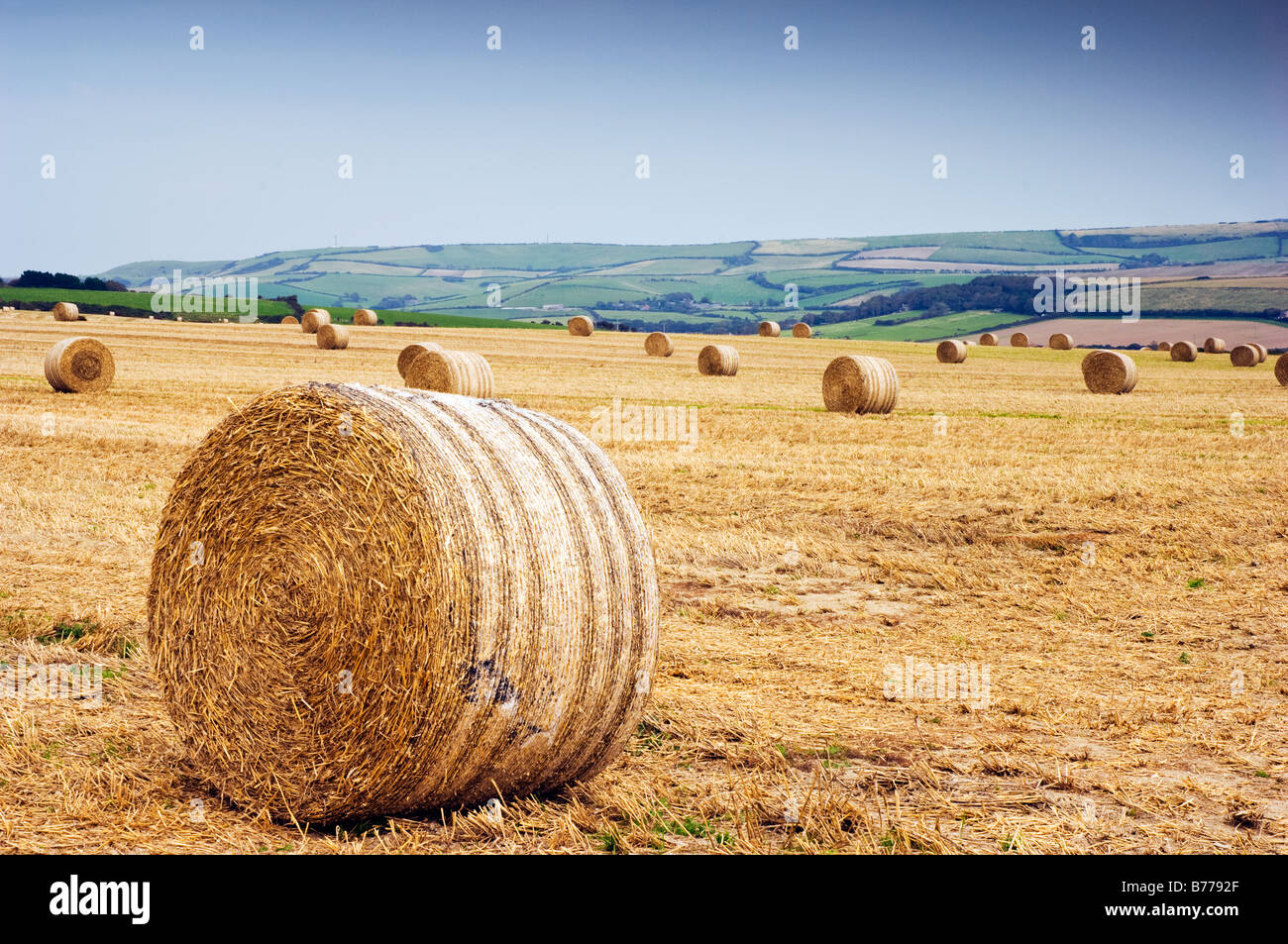 Hay bales on in fields hi-res stock photography and images - Alamy