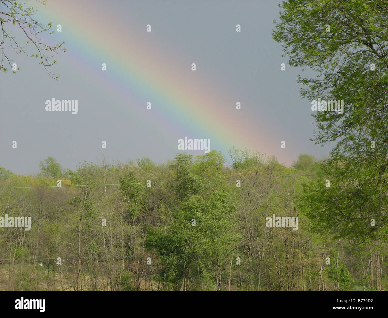 Woods with rainbow hi-res stock photography and images - Alamy