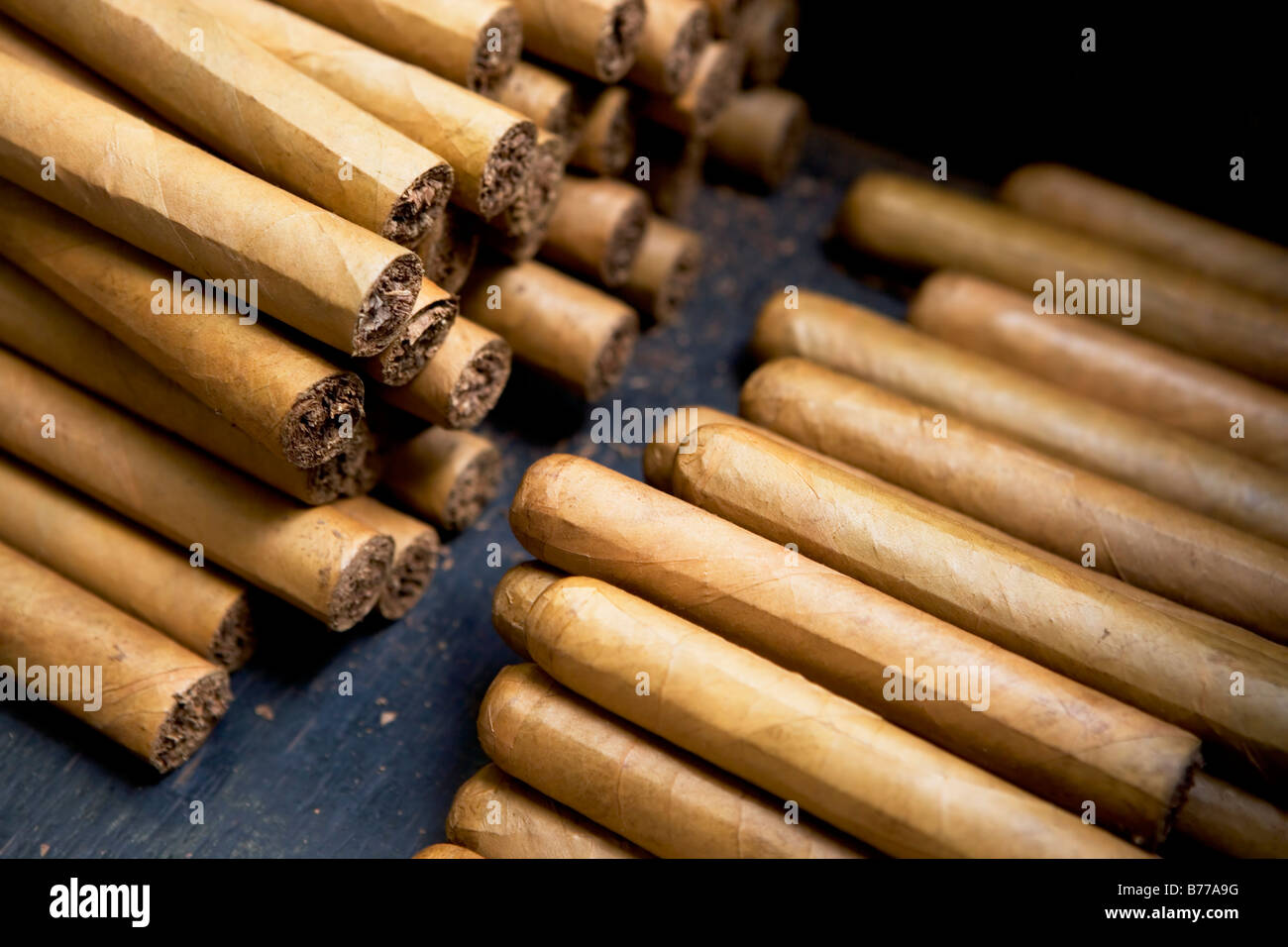 New cigars hi-res stock photography and images - Alamy