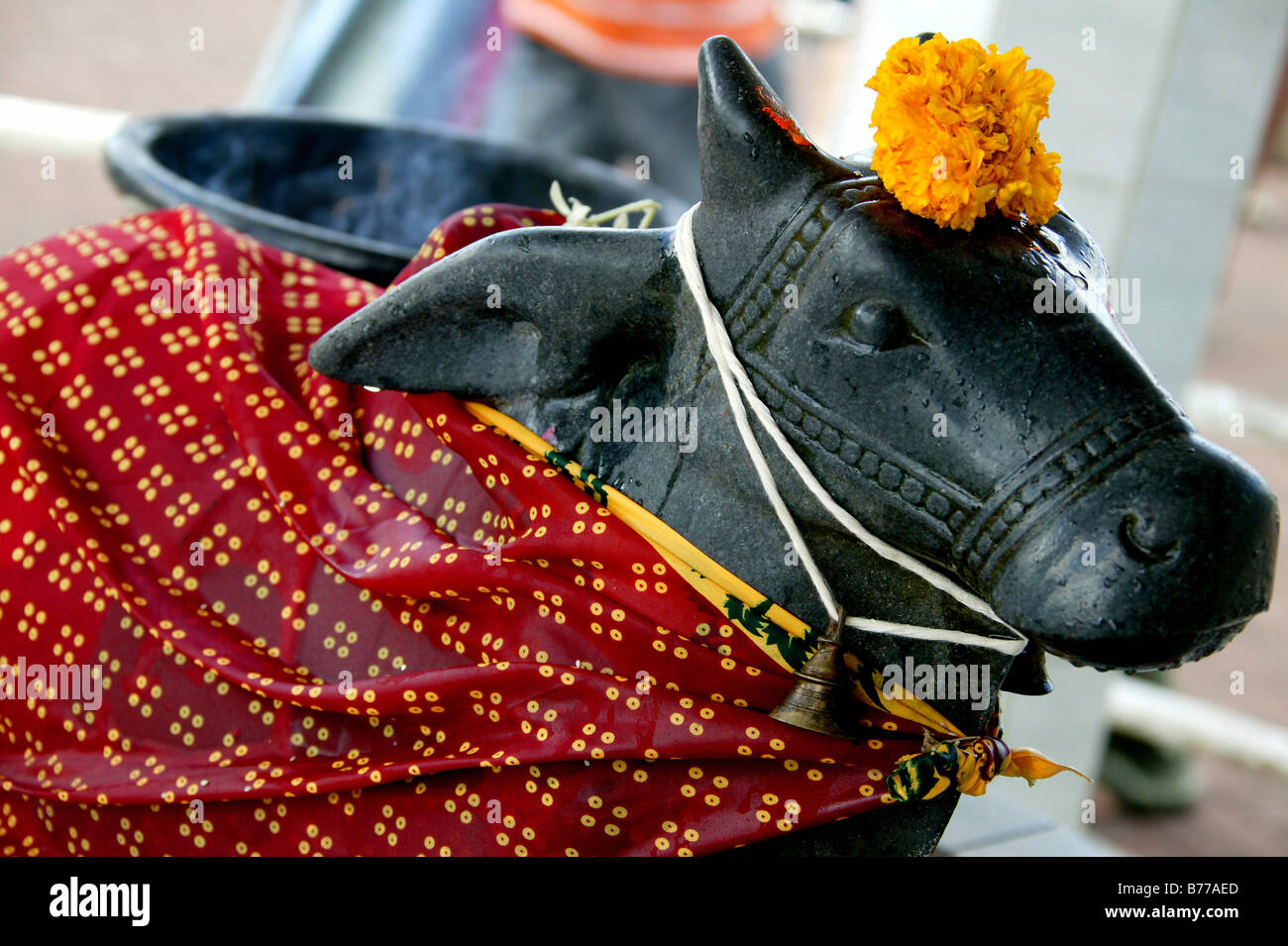 Holy cow, decorated stone cow, Hinduism, Mauritius, Africa, Indian ...