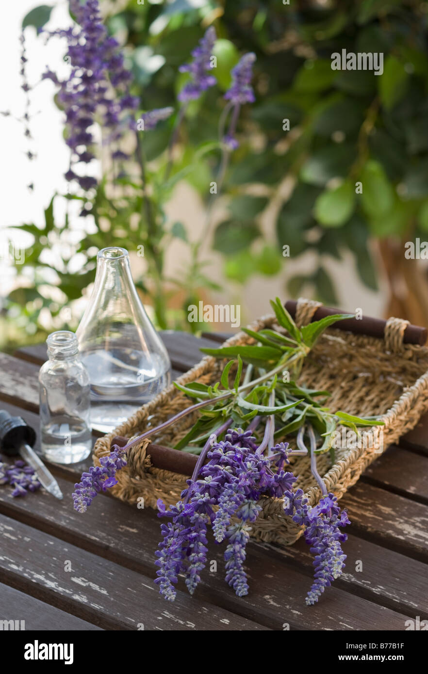 Lavender oil hi-res stock photography and images - Alamy