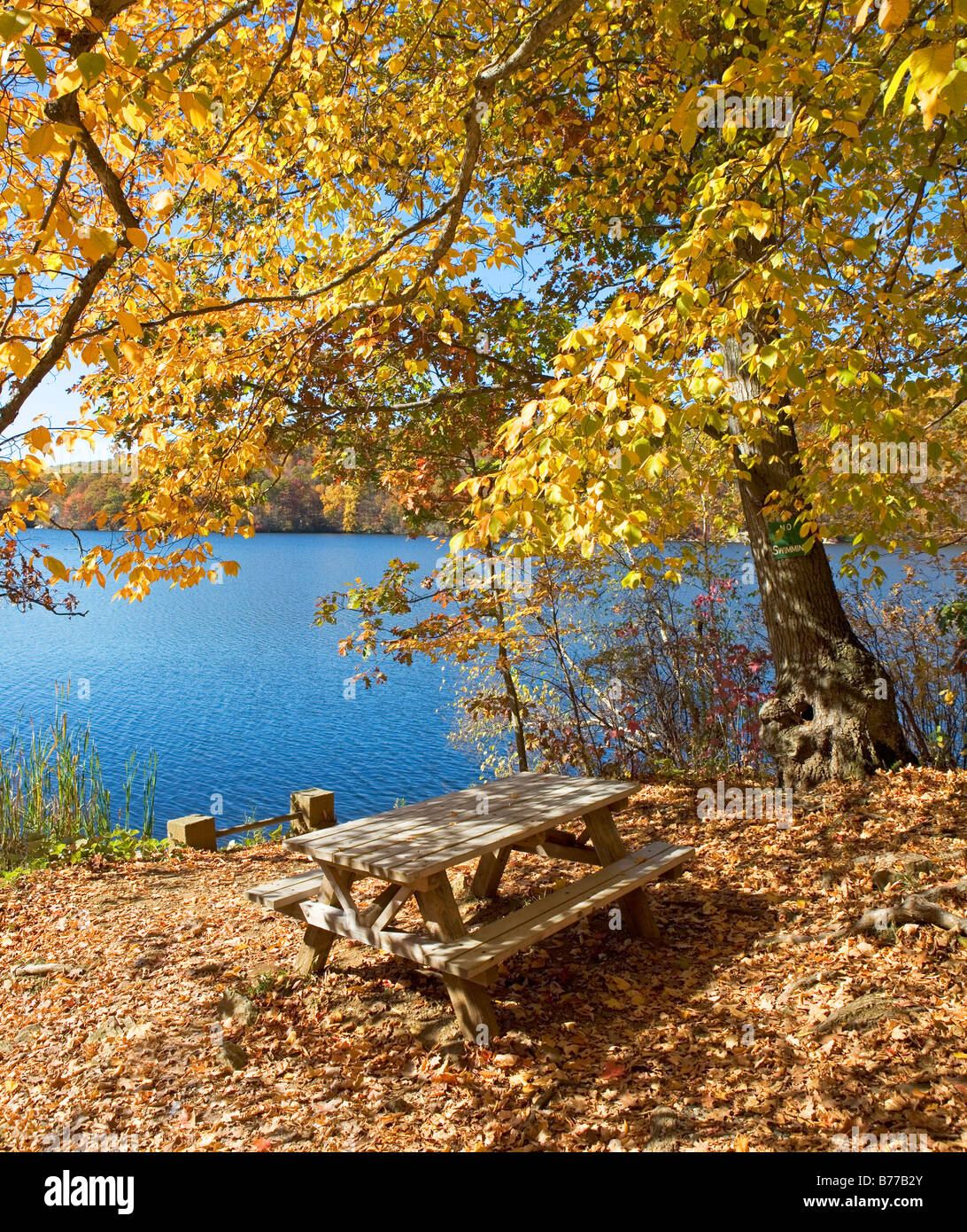 Picnic bench autumn leaves edge of lake Stock Photo - Alamy