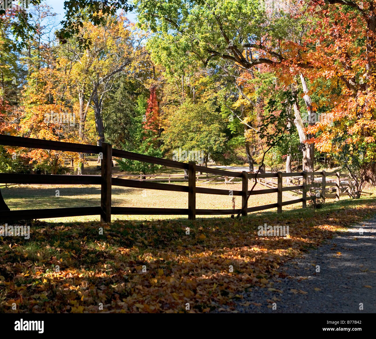 Autumn leaves countryside Stock Photo - Alamy