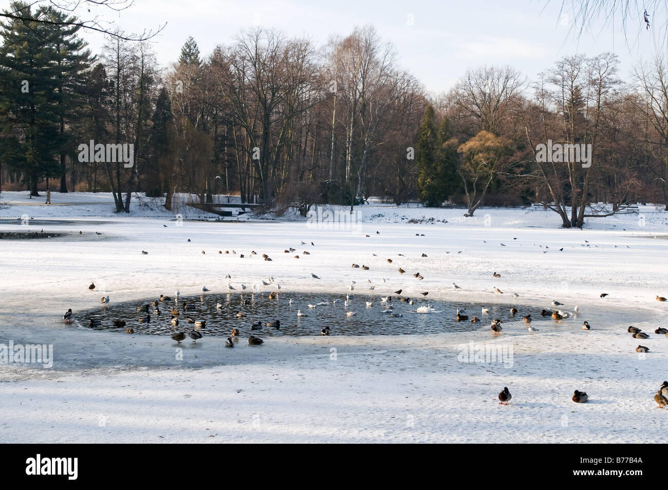Ice baths hi-res stock photography and images - Alamy