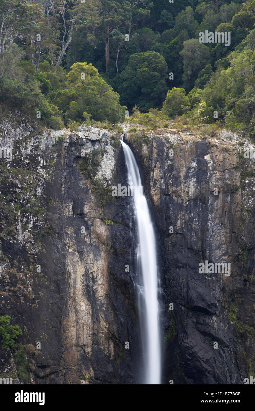 Taree australia hi-res stock photography and images - Alamy