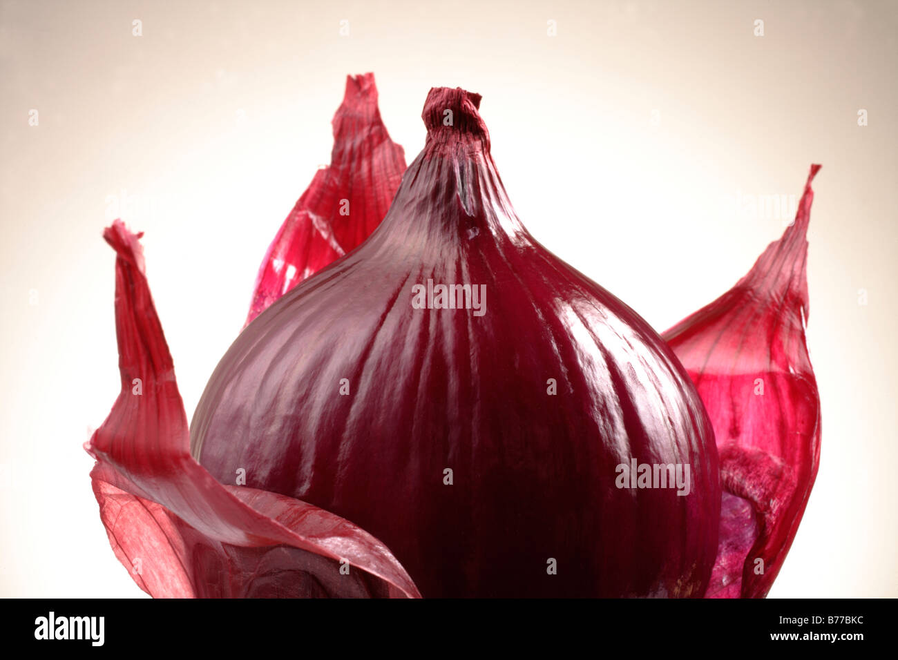 Onion interior hi-res stock photography and images - Alamy