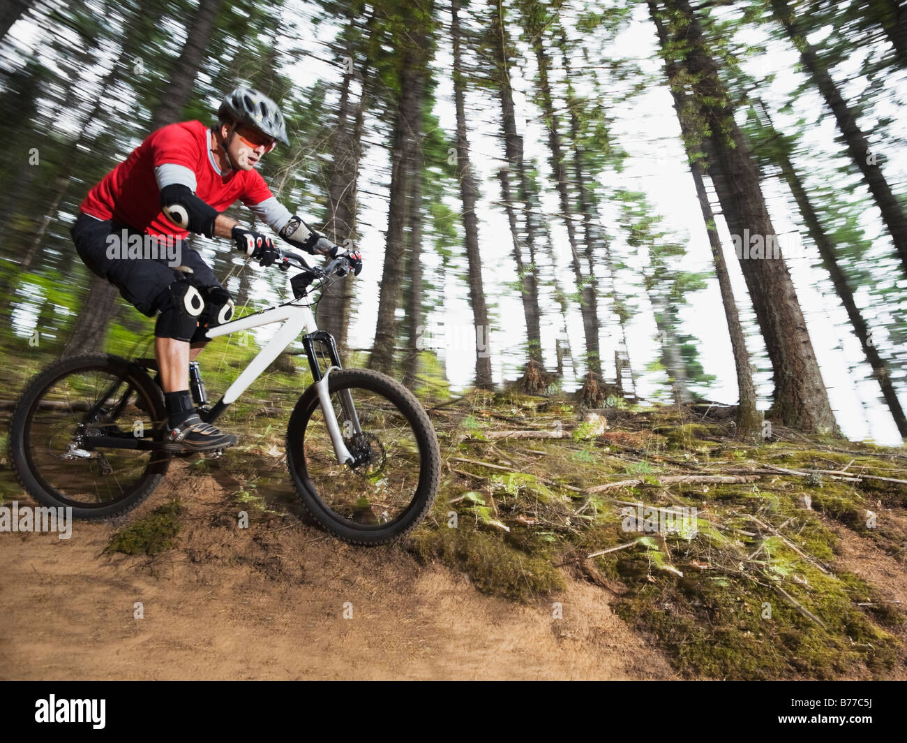 Forest trail riding mountain biker hi-res stock photography and images ...