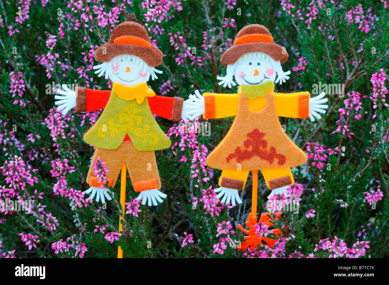 Garden decoration, felt manikins in front of heather (Calluna vulgaris ...