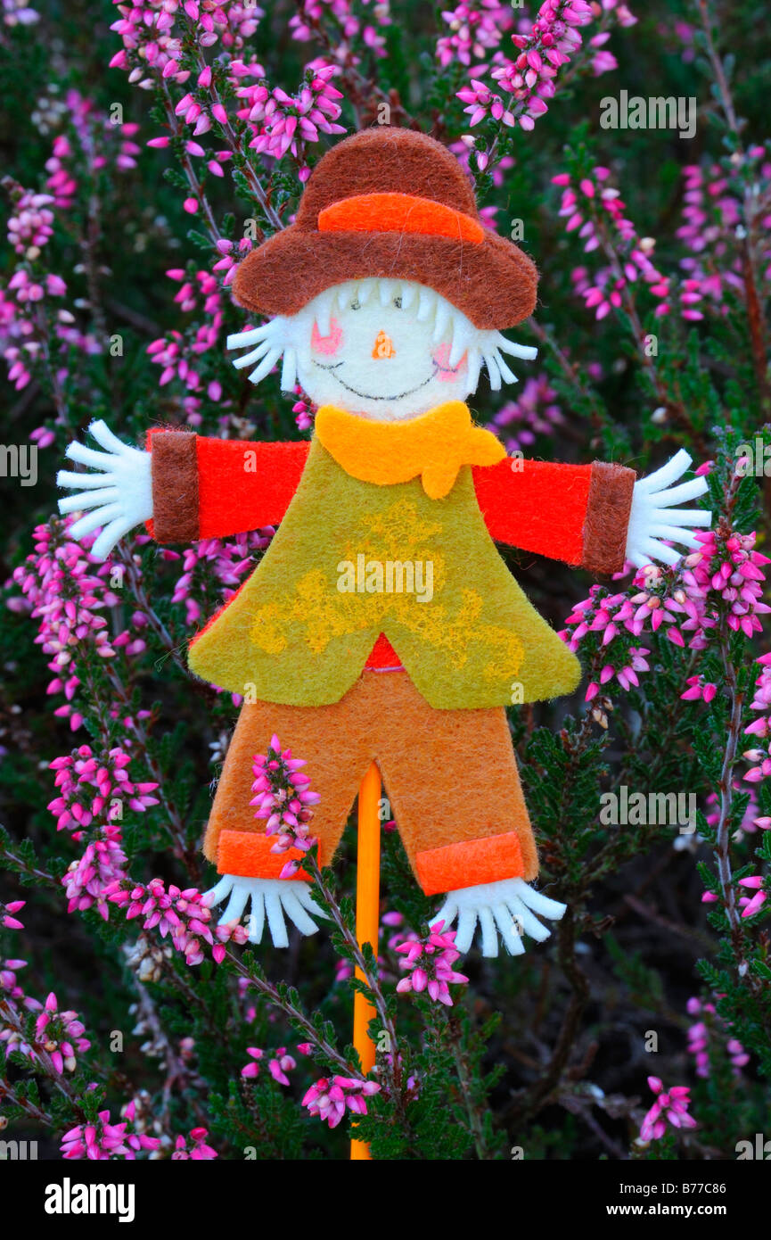Garden decoration, felt manikin in front of heather (Calluna vulgaris ...