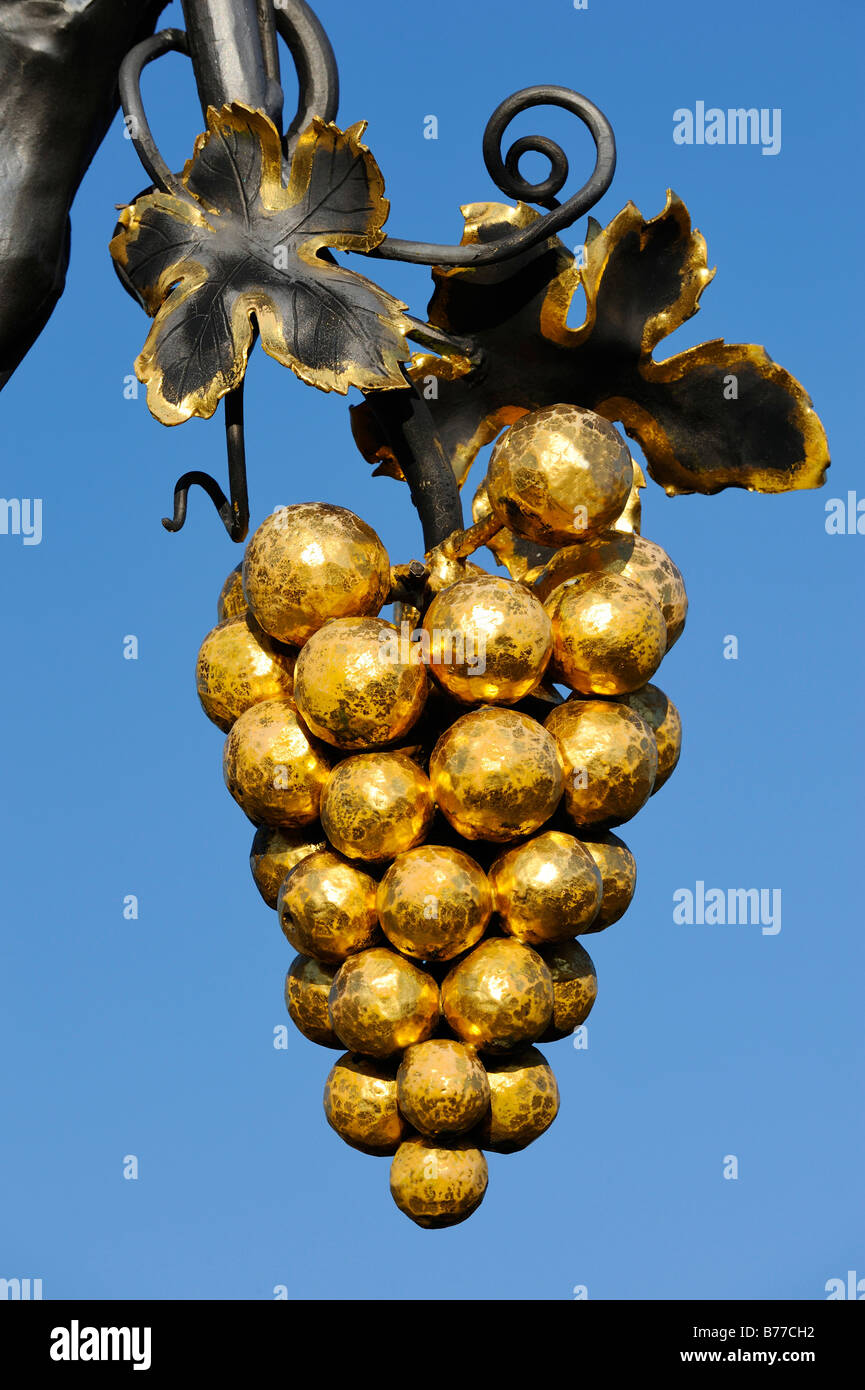 Gold grapes hi-res stock photography and images - Alamy
