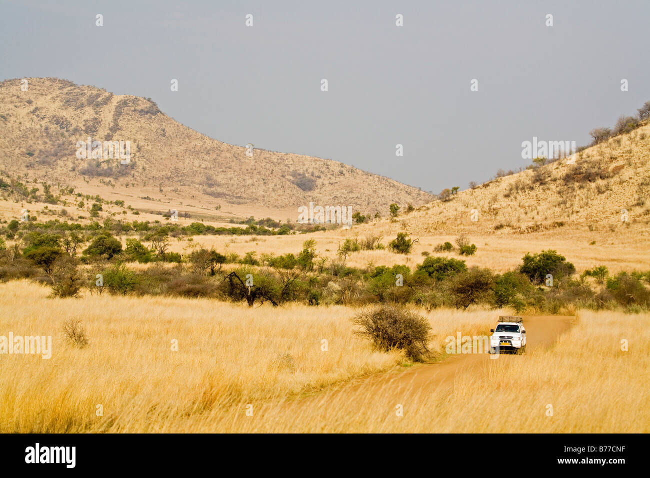 Auto reserve hi-res stock photography and images - Alamy