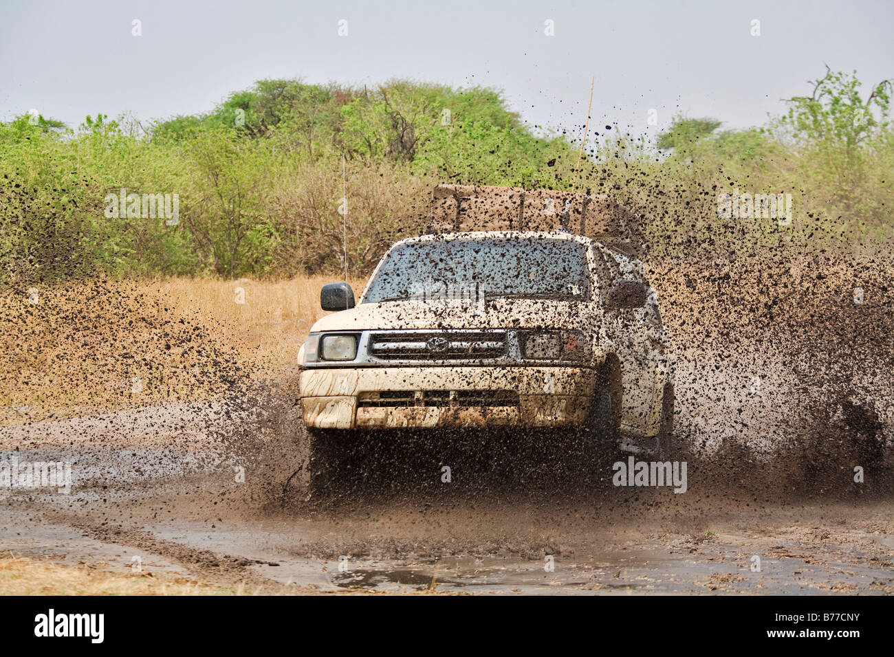 Safari drive through water hi-res stock photography and images - Alamy