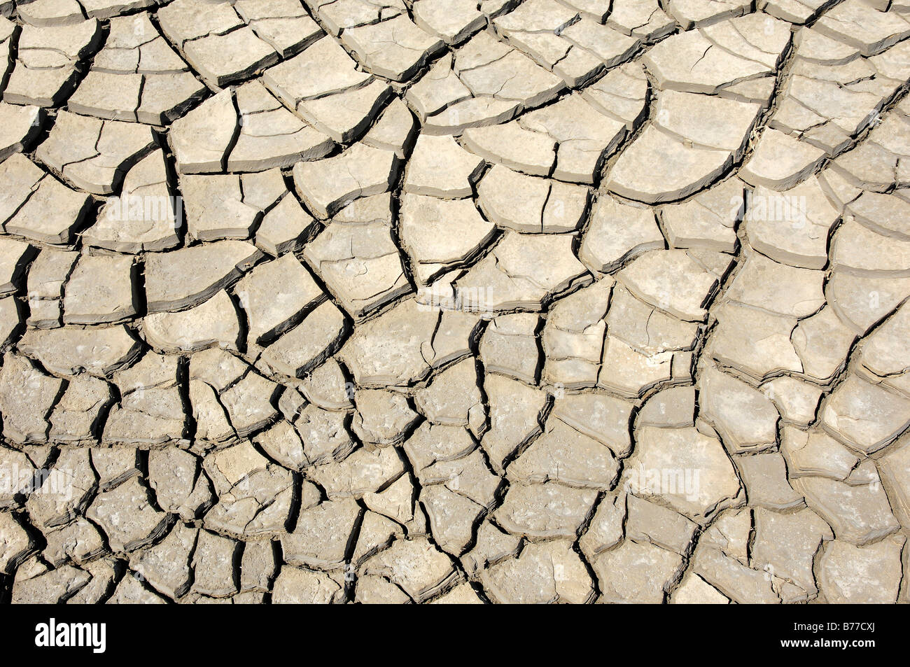 Desiccated earth hi-res stock photography and images - Alamy