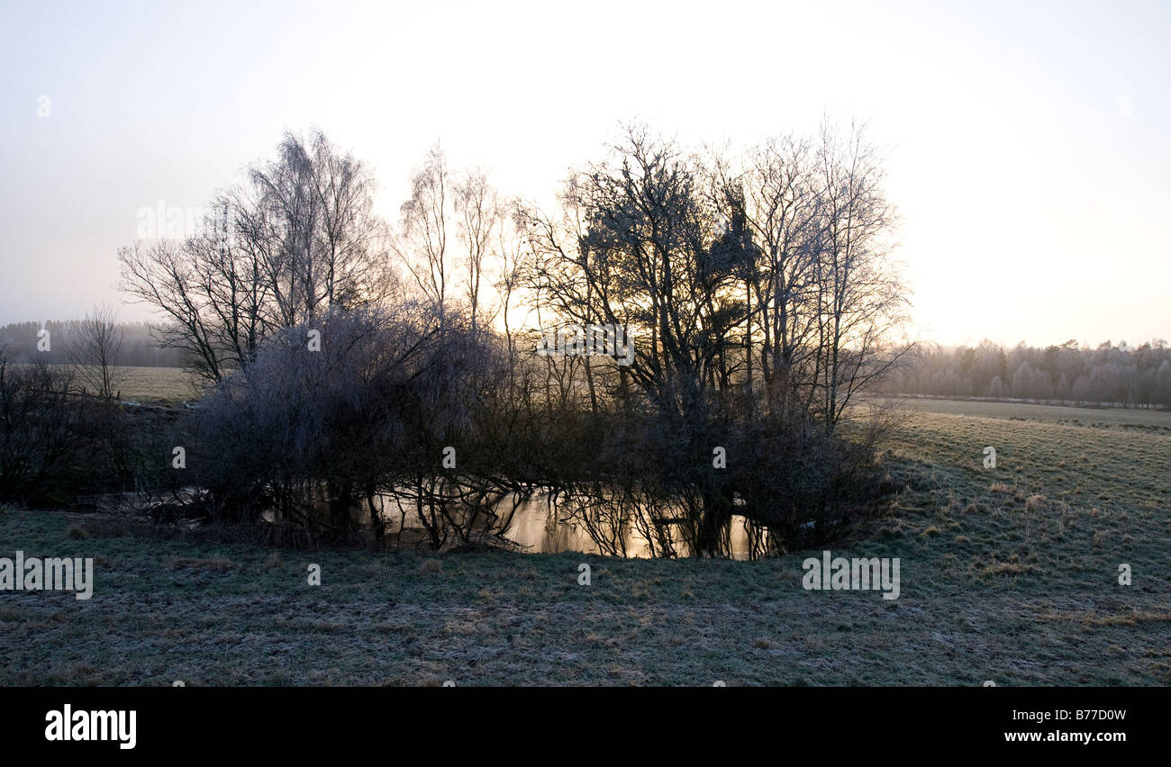small pond on swedish countryside, Sweden Stock Photo - Alamy