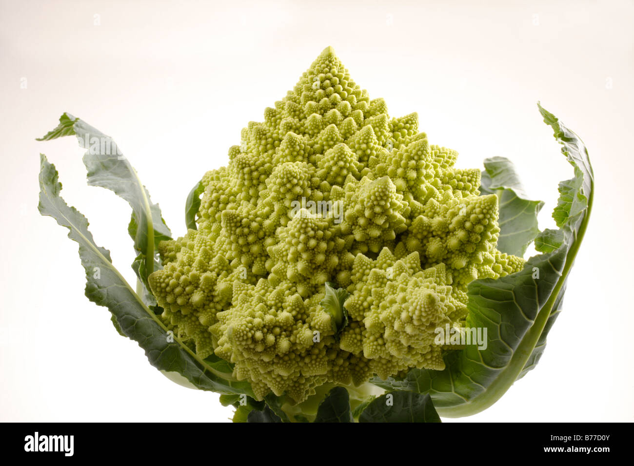 Green cauliflower hi-res stock photography and images - Alamy
