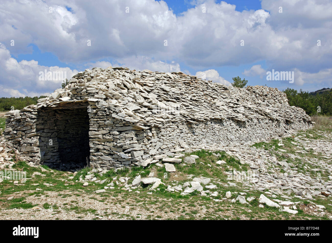 Stone Sheep Stock Photos & Stone Sheep Stock Images - Alamy