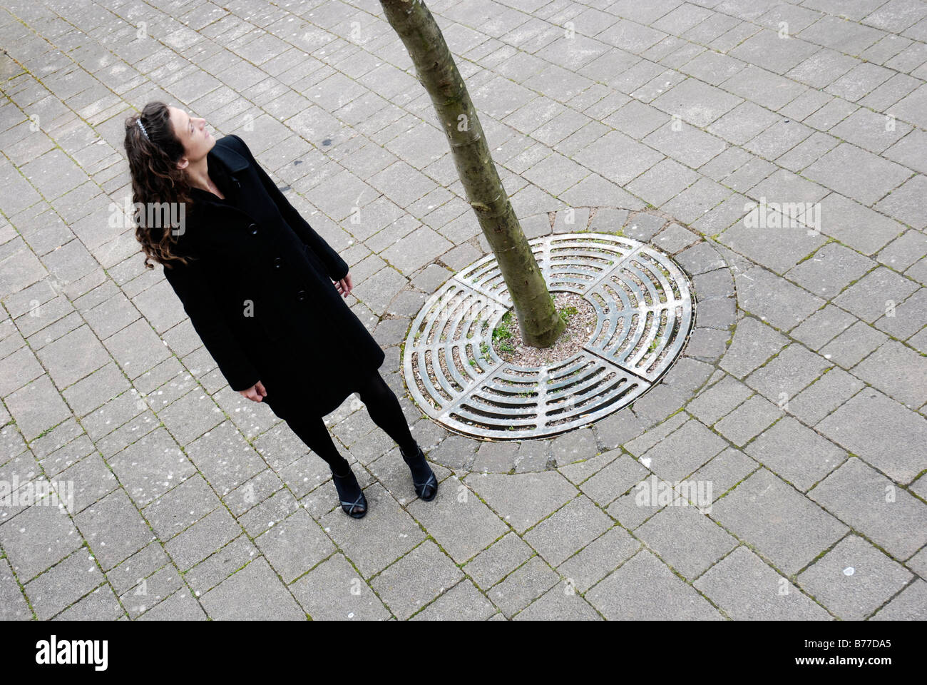 Looking high in tree hi-res stock photography and images - Alamy
