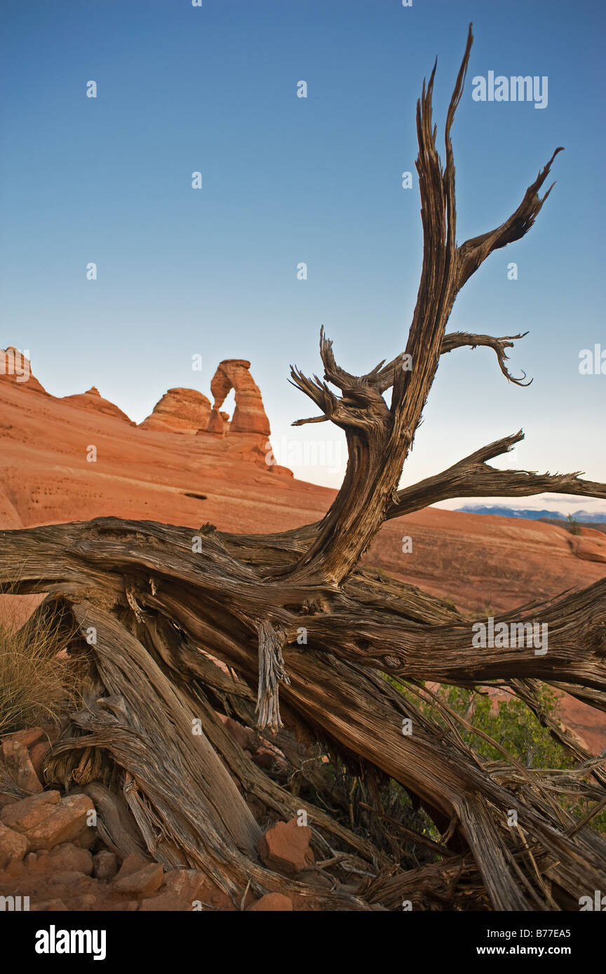 White arch arches hi-res stock photography and images - Alamy