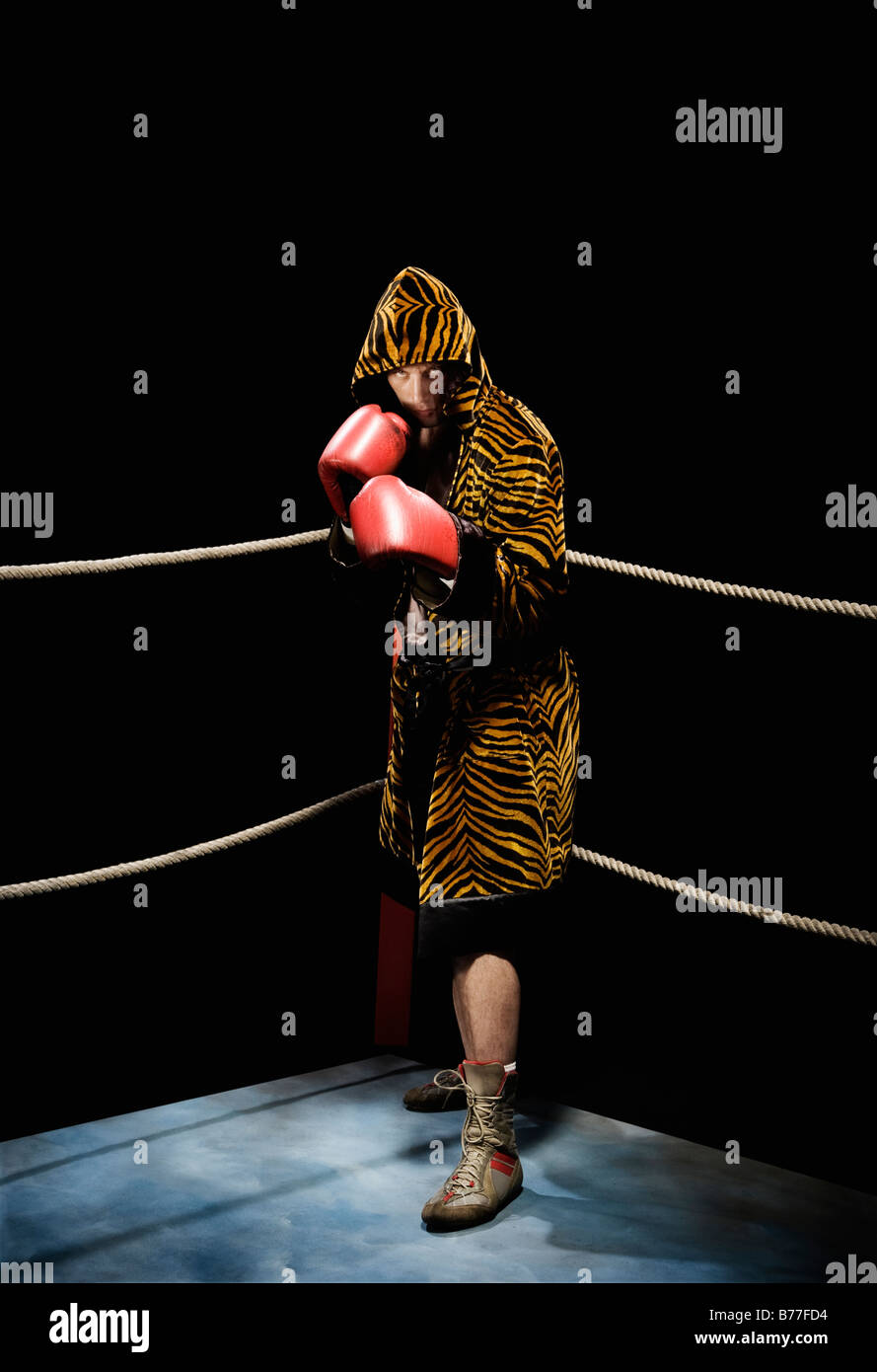 Professional Boxer Robe