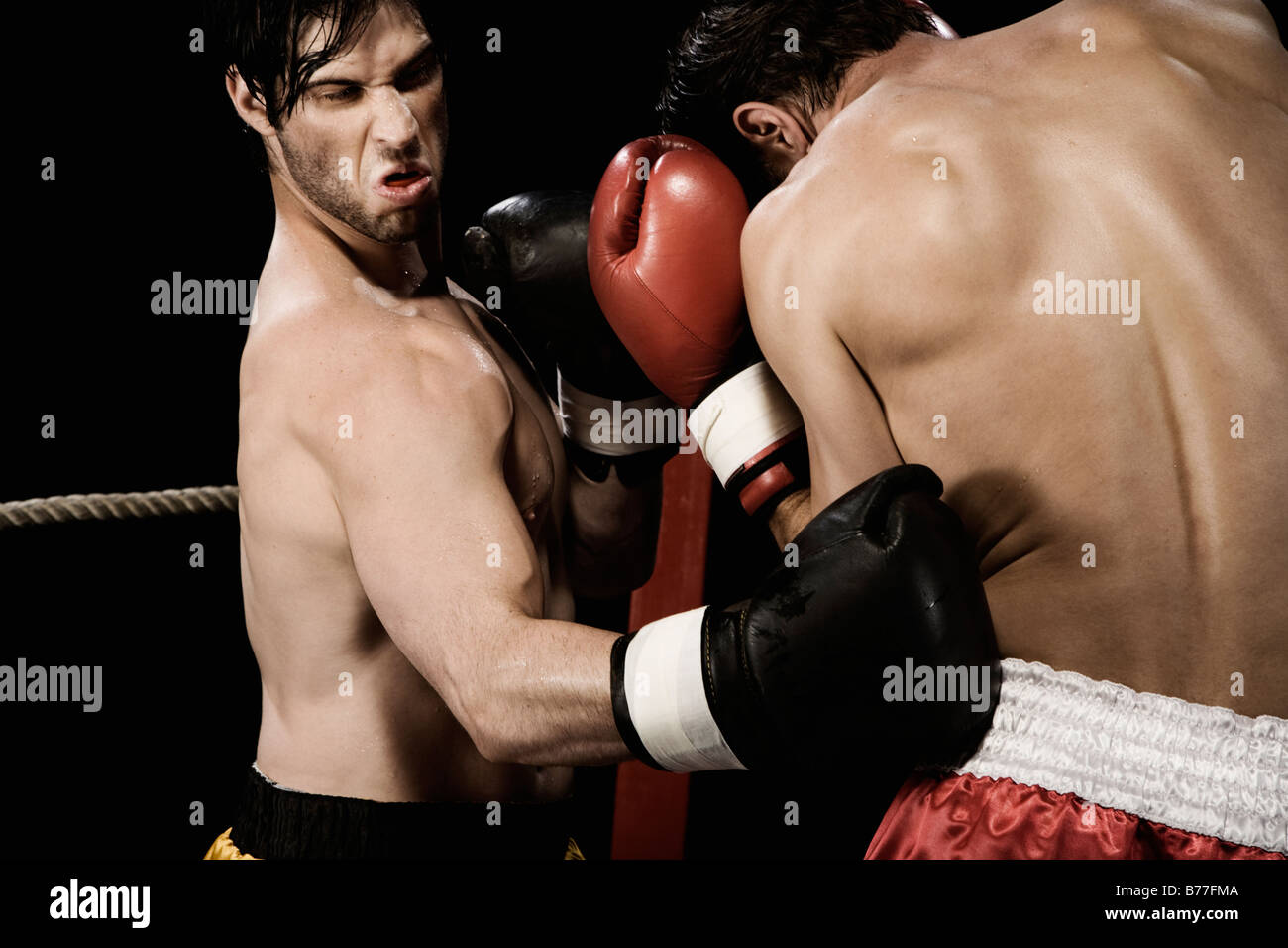 Boxers fighting boxing ring Stock Photo - Alamy