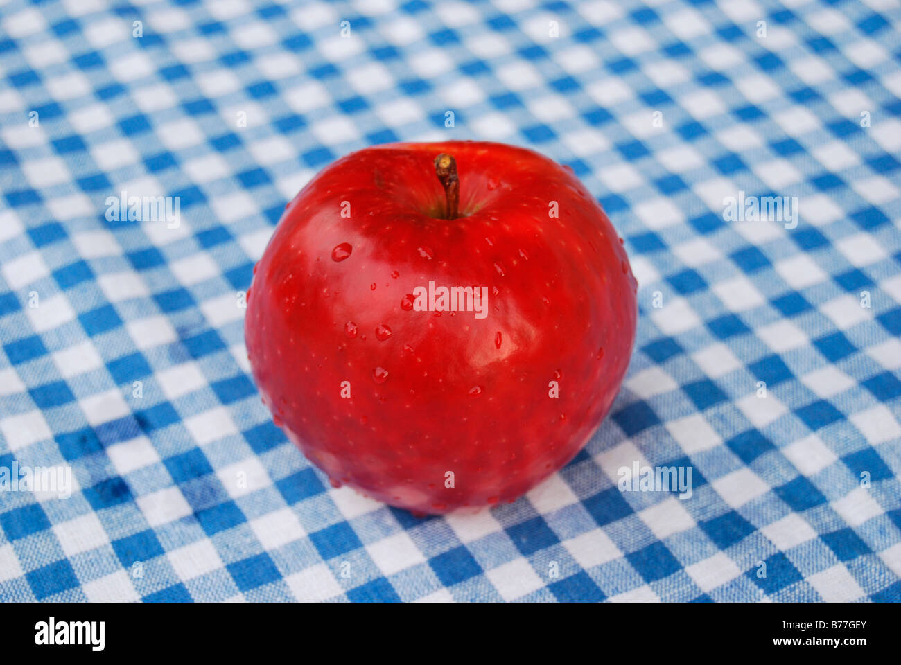 Single red apple with water drops on a blue chequered tablecloth Stock ...
