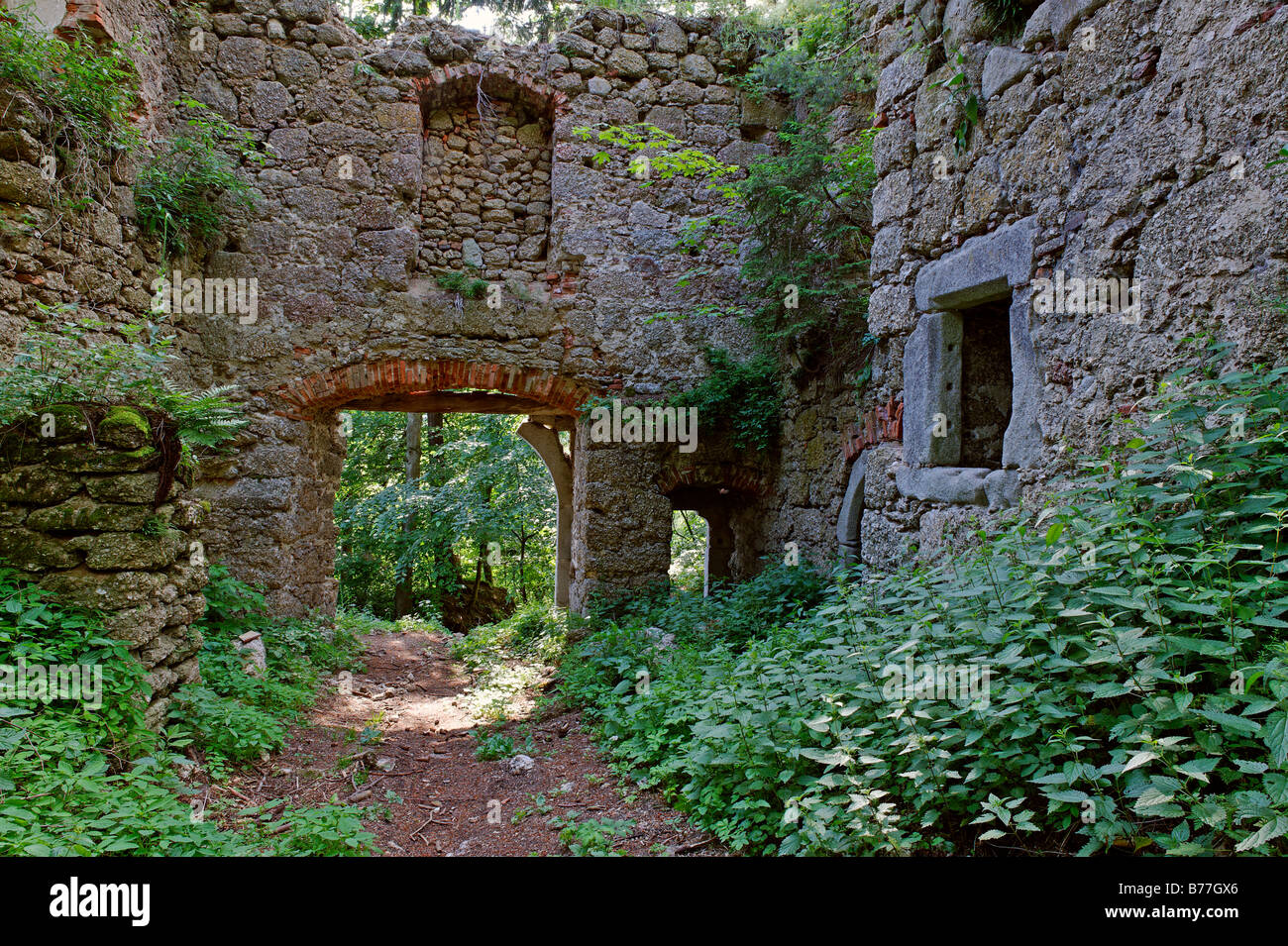 Klingenberg Castle ruins near St. Thomas am Blasenstein, Muehlviertel ...