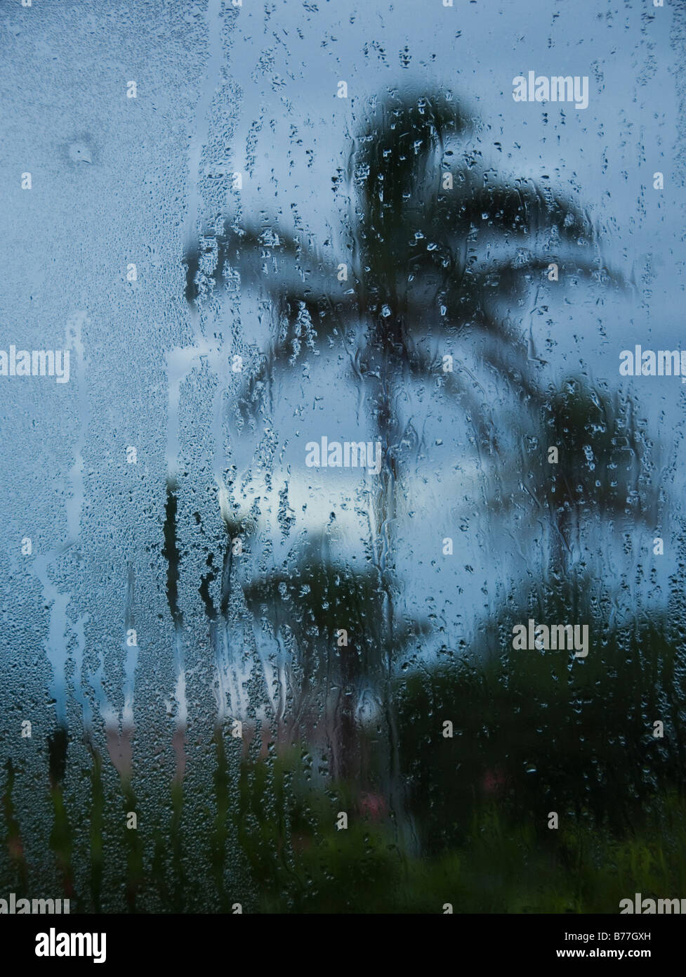 Tropical storm Bermuda from window Stock Photo - Alamy