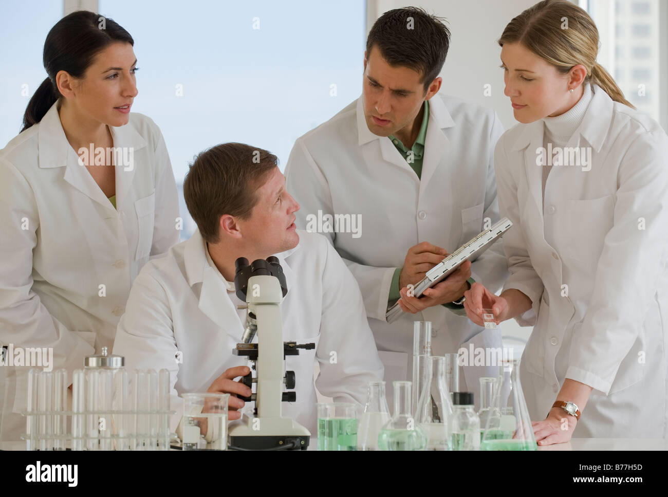 Scientists working together pharmaceutical laboratory Stock Photo - Alamy