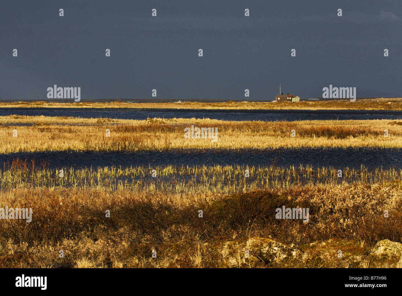 vast landscape of Varanger at the evening, Norway, Varanger Peninsula ...