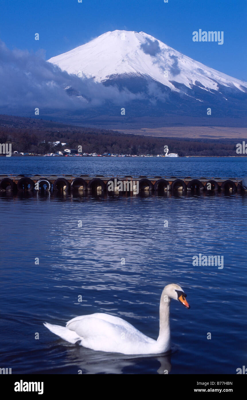 Japan,Lake Kawaguchi,Mount Fuji,Swan Stock Photo - Alamy