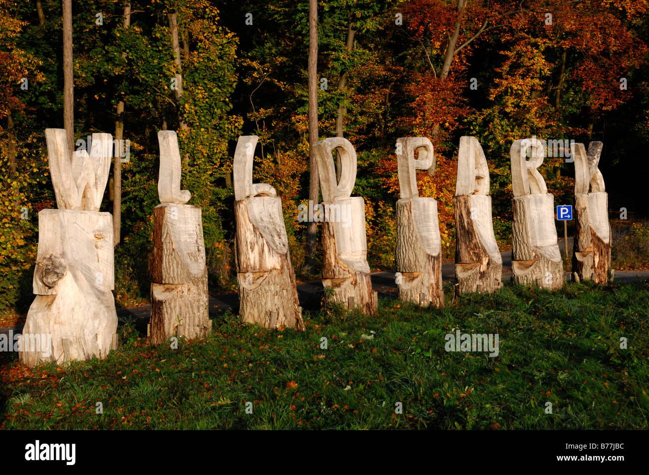 Wildpark, letters carved out of tree stumps, at the entrance to a car ...