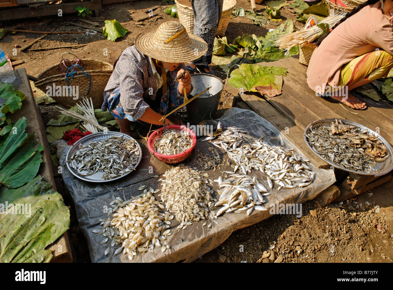 Traditional fish market, Bhamo, Kachin State, Burma, Myanmar, Asia ...