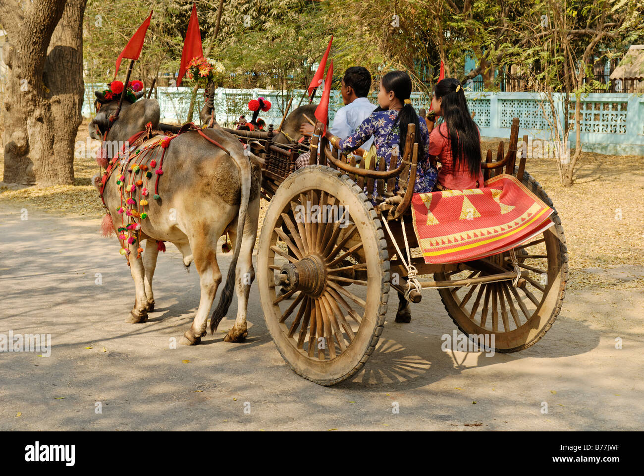 Ox drawn cart hi-res stock photography and images - Alamy