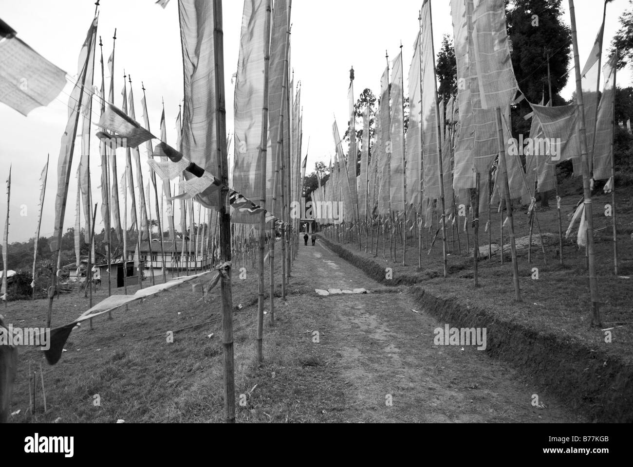 Prayer Flags at Rinchenpong Monastery, Sikkim, India Stock Photo - Alamy