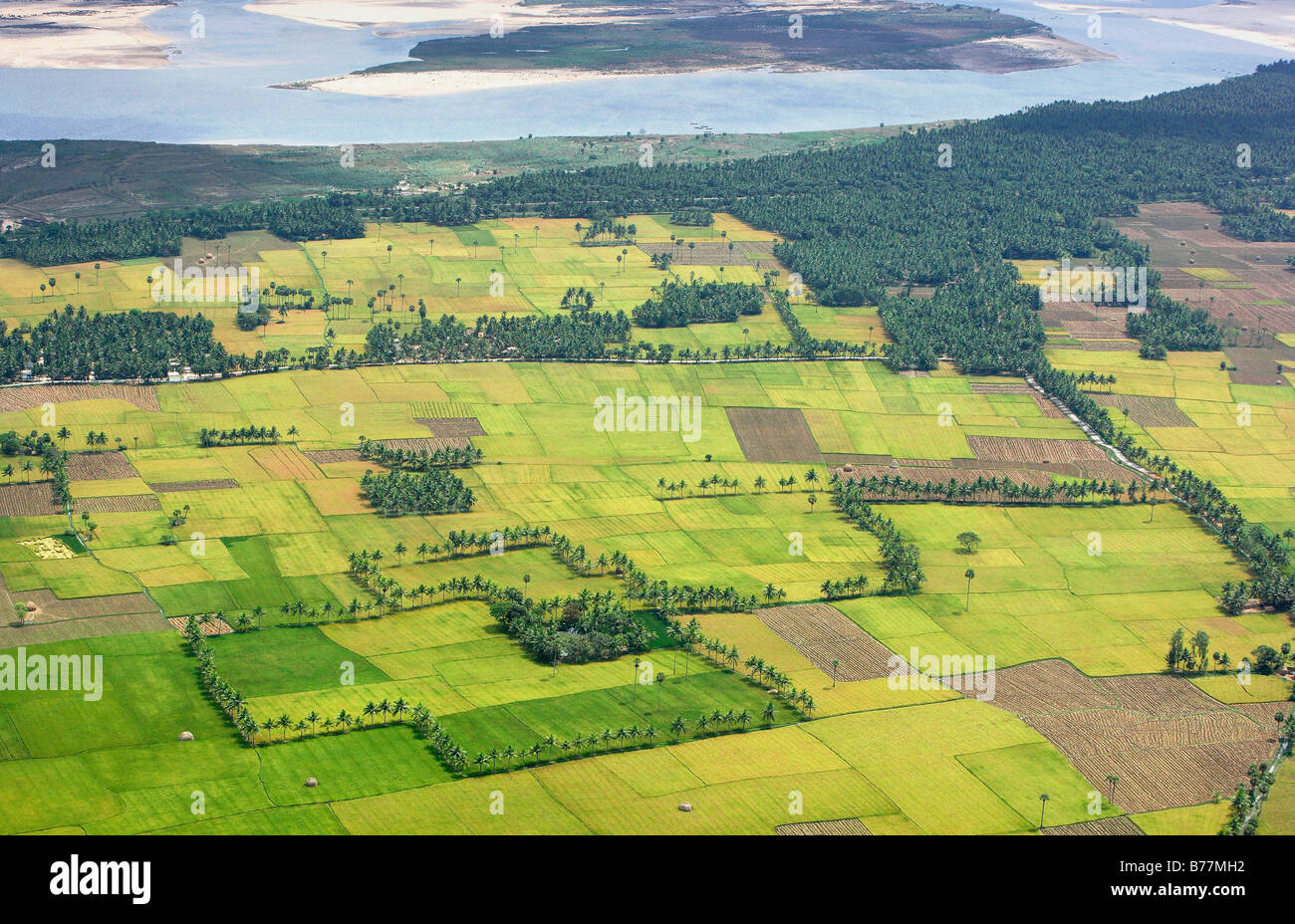 Aerial view of field ; Andhra Pradesh ; India Stock Photo - Alamy